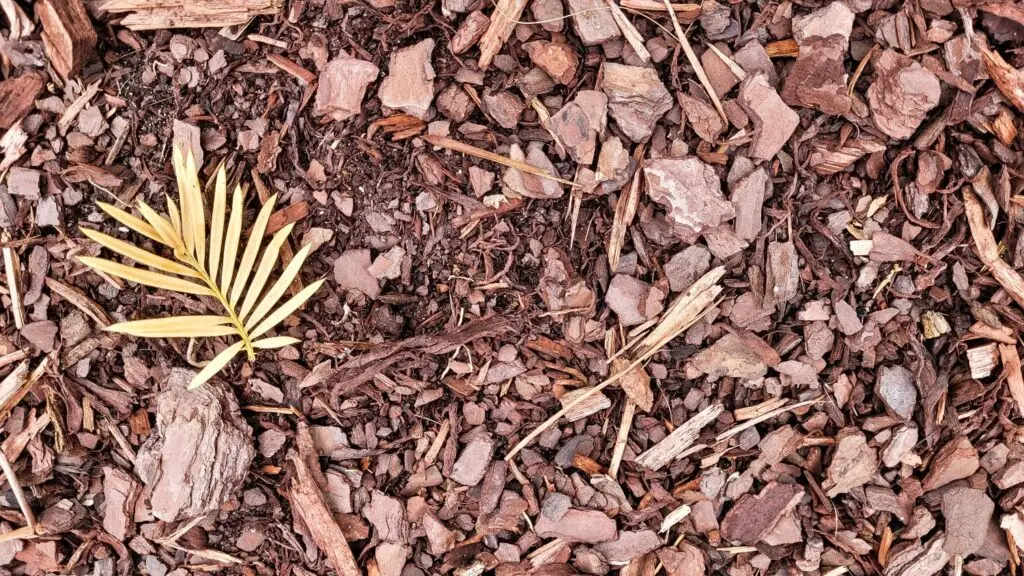 Mulch Matchup in Atlanta: Pine Straw vs. Bark vs. Rubber