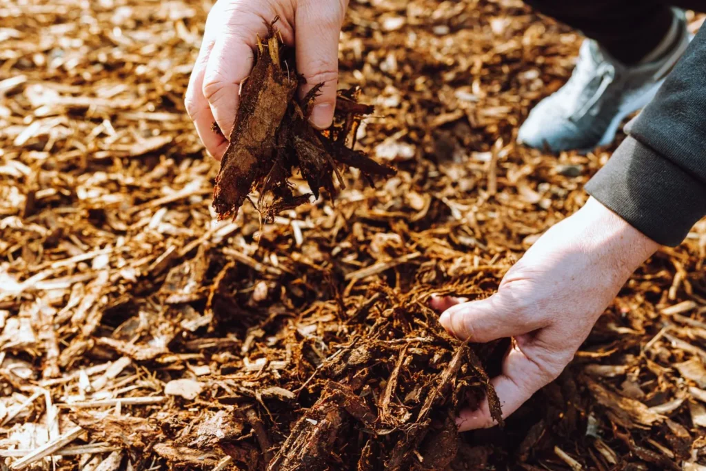 How Mulch Depth Affects Soil Temperature, Moisture & Root Health