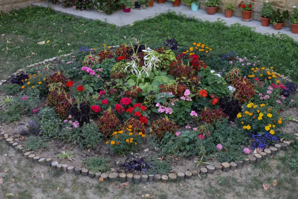 How Improper Bed Design Increases Weed Pressure